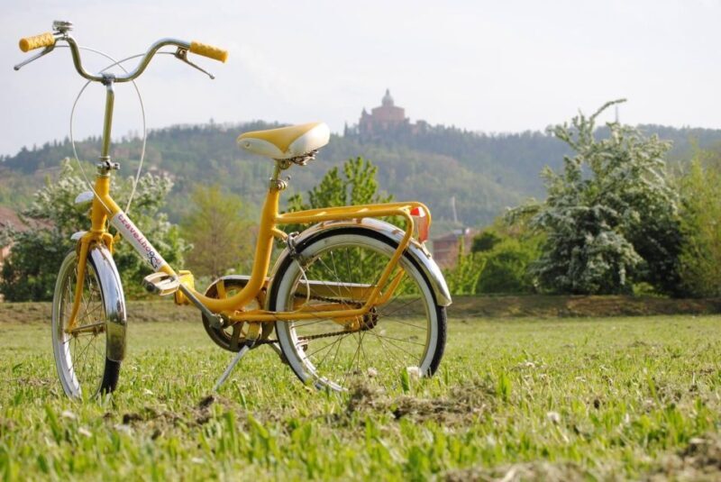 Bologna: Panoramic Bike Tour - Key Points