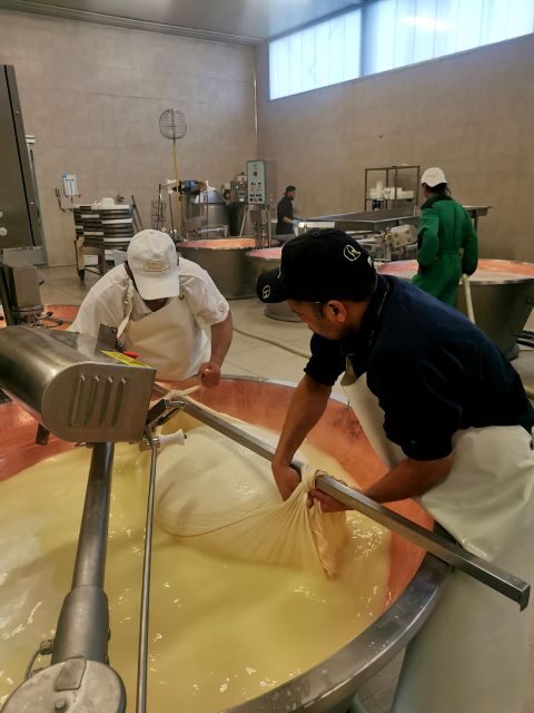 Bologna: Parmigiano, Wine and Balsamic Vinegar experience - Key Points