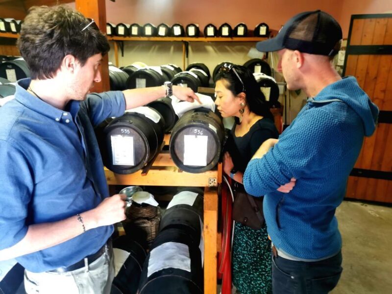 Bologna: Parmigiano, Wine and Balsamic Vinegar experience - A Deep Dive into the Day’s Experiences