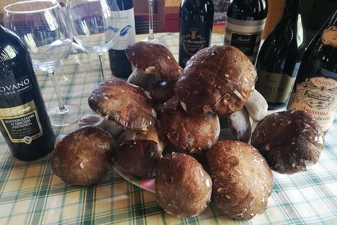 Bologna: the red medieval pearl and its delicious food (private tour) - Who should book this tour?