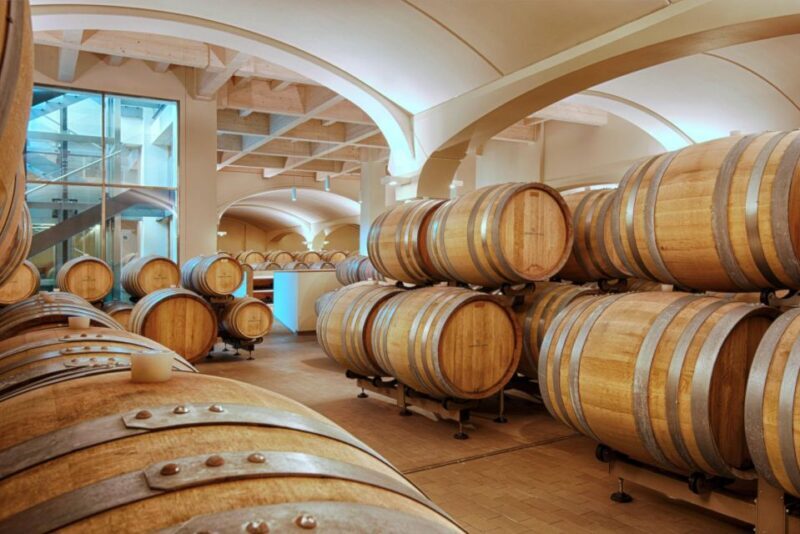 Bologna Vineyard Vista: a journey through Emilian wines - What does the tour include?