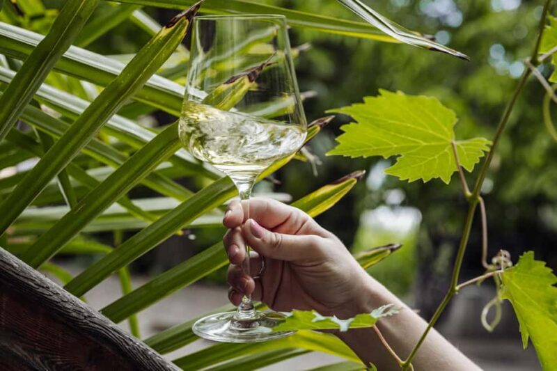 Bolzano: Wine Tasting at SKYWINE Pavilion with Views - What Makes This Experience Stand Out?