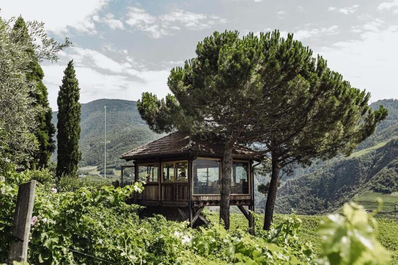 Bolzano: Wine Tasting at SKYWINE Pavilion with Views - Value for Money