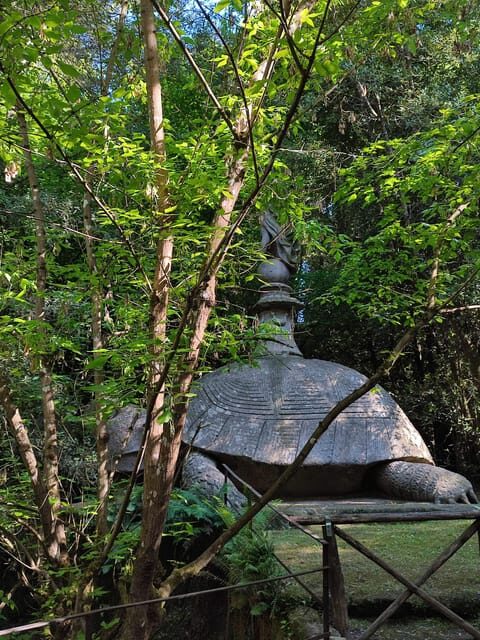 Bomarzo: Sacred Woods Entry Ticket - What to Expect When Visiting