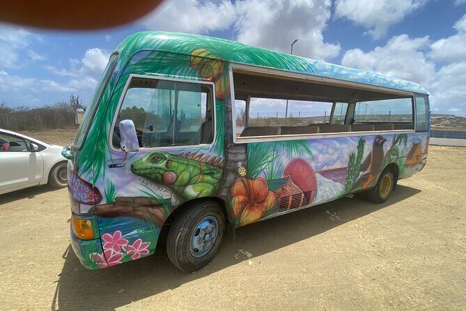 Bonaire 2 hour Island Tour & 2 hour Beach Stay - A Deep Dive into the Tour Itinerary