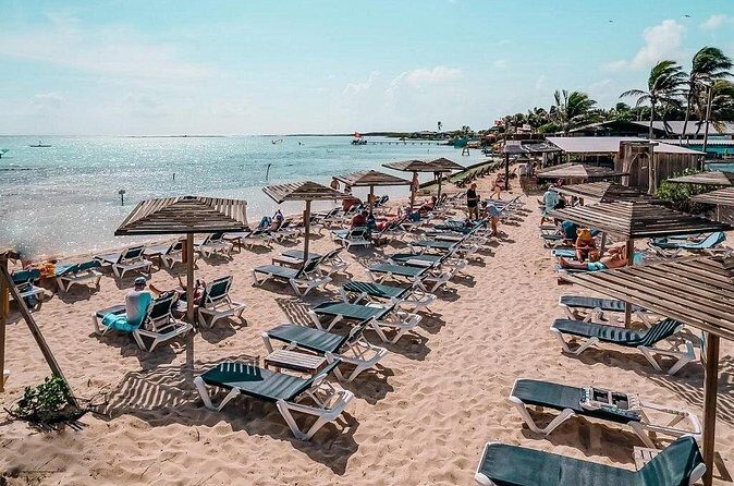 Bonaire 2 hour Island Tour & 2 hour Beach Stay - FAQ