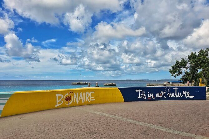 Bonaire City Tour Chubatu - Who Will Enjoy This Tour?