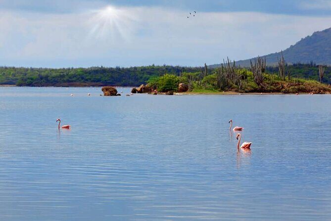 Bonaire Island North Side DiscoveryTour - Why This Tour Offers Great Value