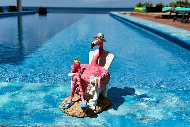 Bonaire Oceanfront Villa Day Pass All-Inclusive Cruise Friendly - Key Points