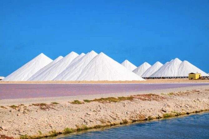 Bonaire Shore Excursion: The Bonaire Highlights Tour - Cost and Value: Is It Worth It?