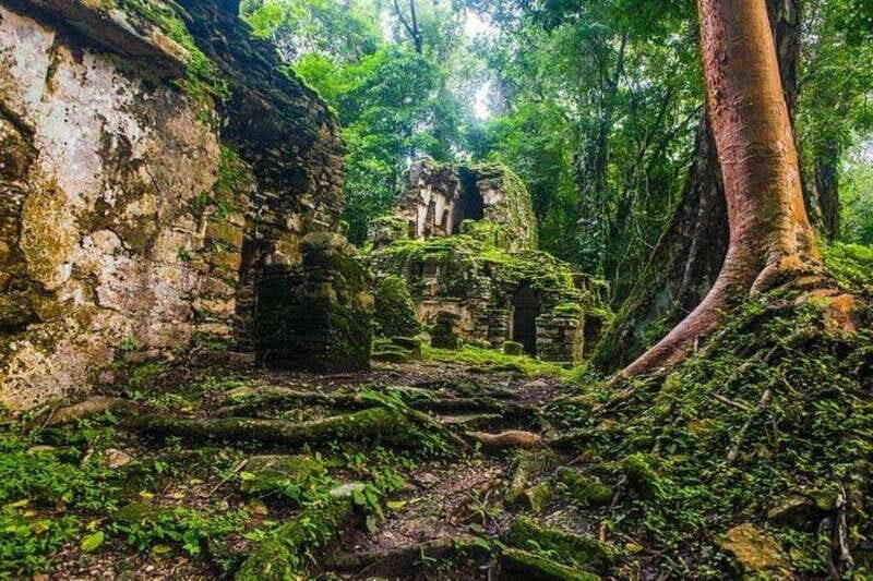 Bonampak & Yaxchilan archaeological sites & jungle - A Detailed Look at the Tour Experience