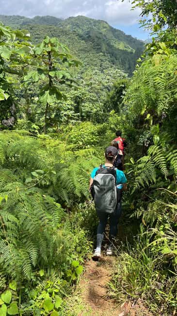 Bonao: Hike to Hidden Tropical Waterfalls with Locals - Who Should Consider This Tour?