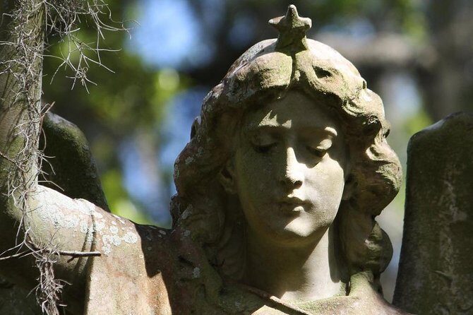 Bonaventure Cemetery Walking Tour with Transportation - Why Choose This Tour? A Detailed Look