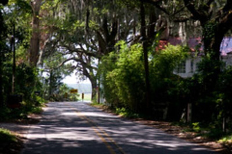 Bonaventure Cemetery & Wormsloe State Historic Site Tour - Bonaventure Cemetery & Wormsloe State Historic Site Tour: A Deep Dive into Savannah’s Soul