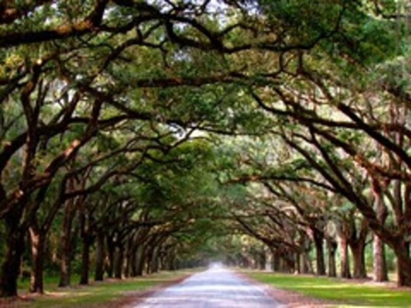 Bonaventure Cemetery & Wormsloe State Historic Site Tour - FAQ