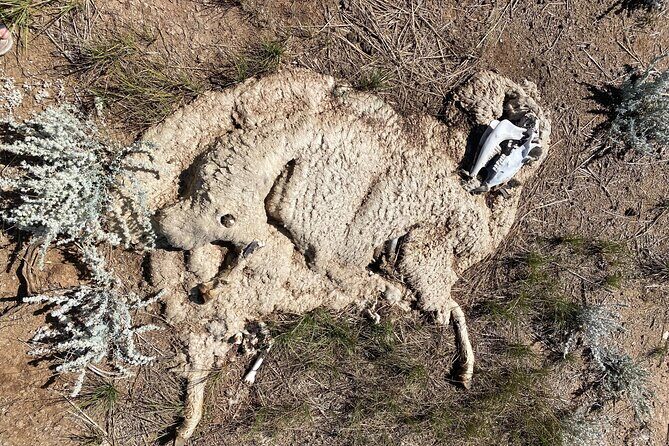 Bone Hunting in Wyoming - Practical Considerations