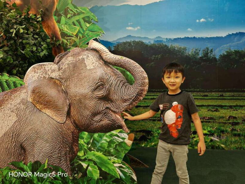 Bongawan River Cruise: Proboscis Monkey & Fireflies Mangrove - Fireflies: Nature’s Light Show at Night