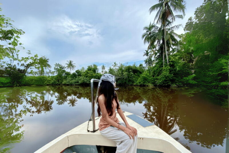 Bongawan River Cruise: Proboscis Monkey & Fireflies Mangrove - Food and Comfort