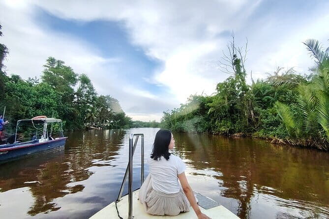 Bongawan River Cruise Proboscis Monkey, SkyMirror, Fireflies - Transportation & Logistics
