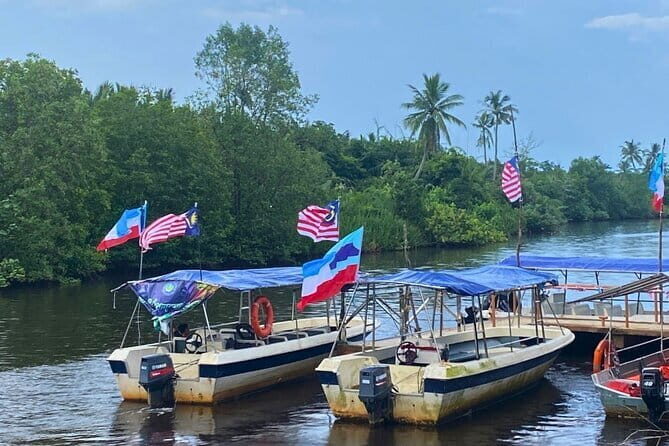 Bongawan River Cruise Proboscis Monkey, SkyMirror, Fireflies - What the Reviews Tell Us