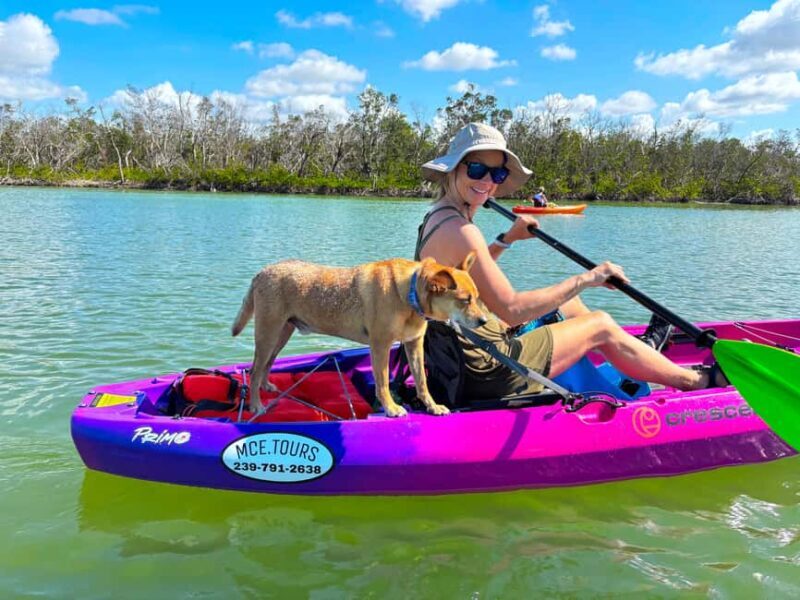 Bonita Springs Clear Kayak Tour with Dolphins & Manatees - Key Points