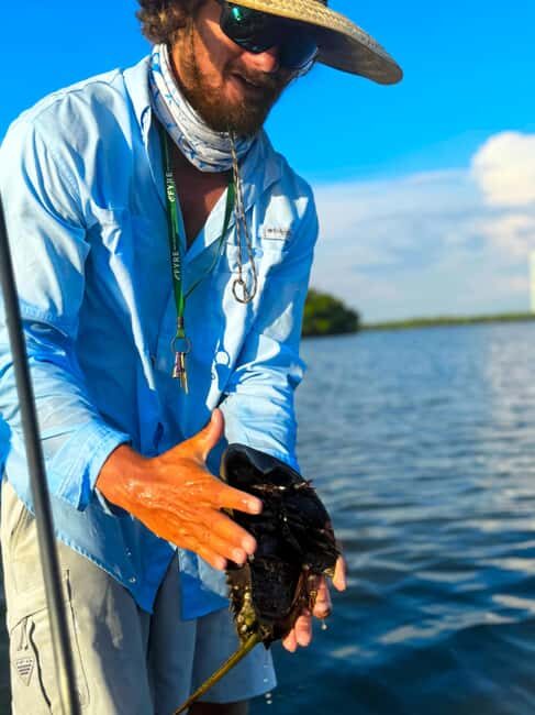 Bonita Springs: Kayak Tour with Manatees, Dolphins Sightings - The Itinerary & Experience Breakdown