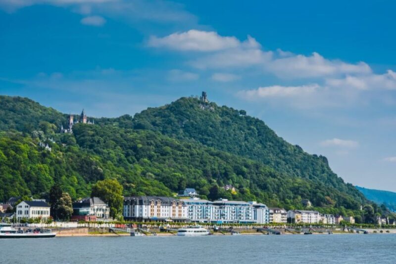 Bonn: Afternoon Boat Tour with Music, Coffee, and Cakes - Bonn: Afternoon Boat Tour with Music, Coffee, and Cakes – A Genuine Look