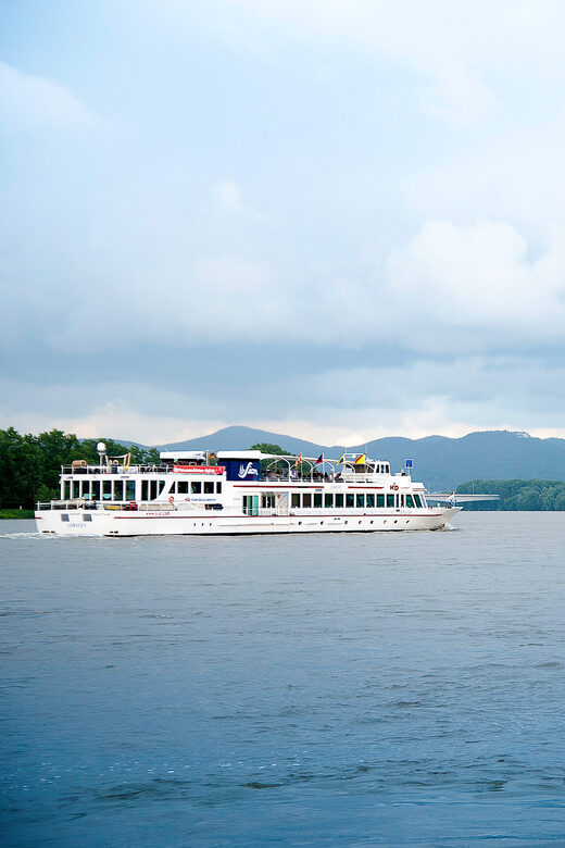 Bonn: Evening Sightseeing Cruise on the Rhine River - The Value and Why It Matters