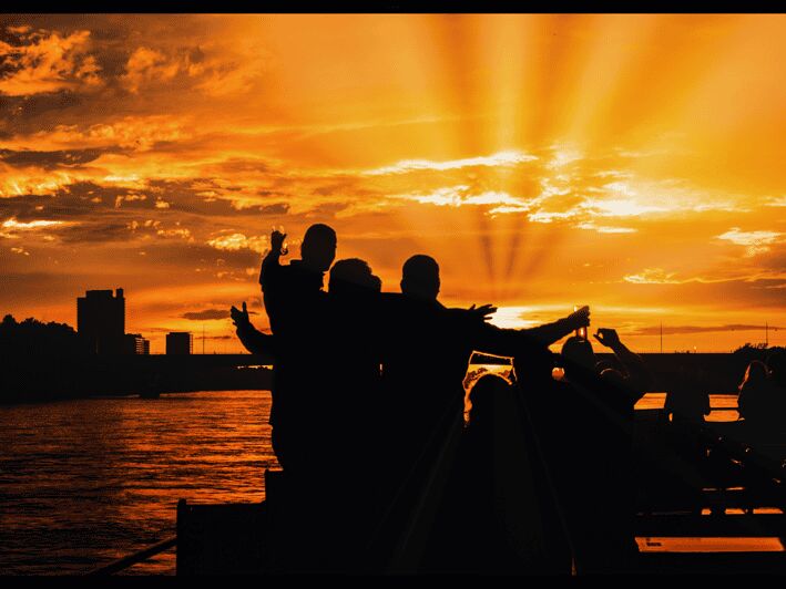 Bonn: Sunset Boat Tour on the Rhine - Who Would Love This Experience?