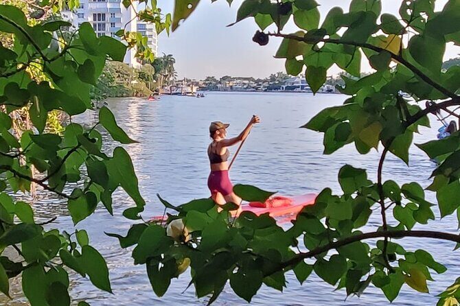 Bonnet House 2 Hour Rental (Paddleboard or Kayak) - What You Can Expect During Your Paddle