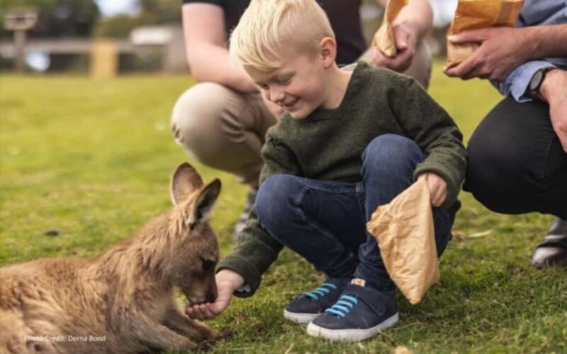 Bonorong & Richmond: Shore Excursion (Private Tour) - Exploring Tasmania’s Charm: Bonorong & Richmond Private Shore Excursion