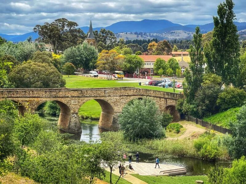 Bonorong Wildlife Sanctuary Half-Day Tour from Hobart - What to Expect During Your Visit