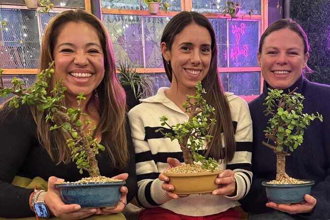 Bonsai Class in San Francisco: Make & Take Home a Bonsai Tree! - What to Expect from a Bonsai Class in San Francisco