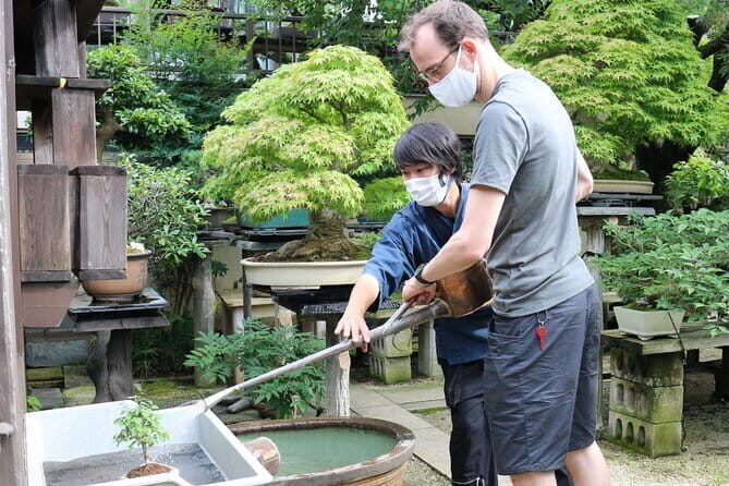 Bonsai Culture Experience for Novices in Tokyo - Analyzing the Value