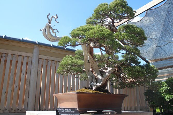 Bonsai Museum & Bonsai Experience - Frequently Asked Questions
