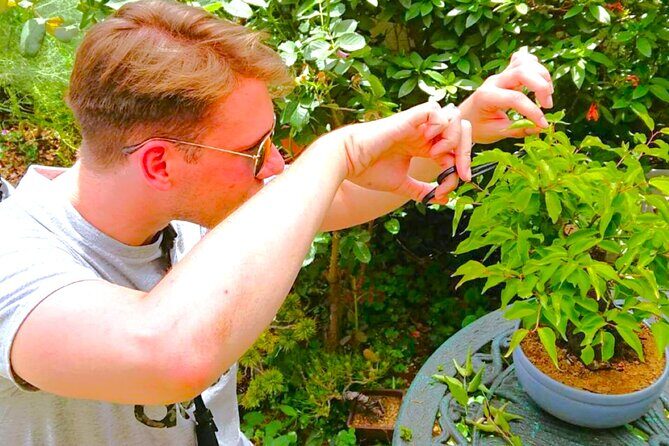 Bonsai Tour & Experience at the Most Sacred City for Bonsai in JP - Exploring the Bonsai Tour & Experience at Japan’s Most Sacred City for Bonsai