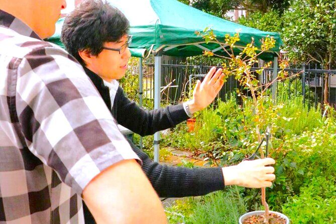 Bonsai Tour & Experience at the Most Sacred City for Bonsai in JP - Who Will Love This Experience?