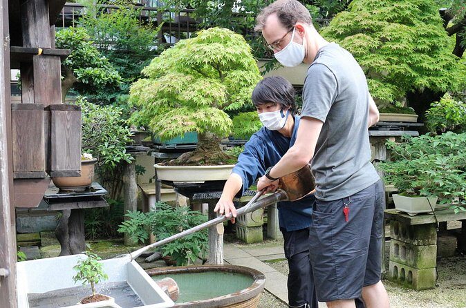 Bonsai(Japanese plants art)Culture Experience In Tokyo Progress - Final Thoughts