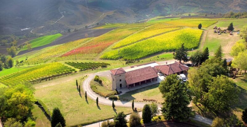 Bonzara Estate - Tour and wine tasting in the Colli Bolognesi - Key Points