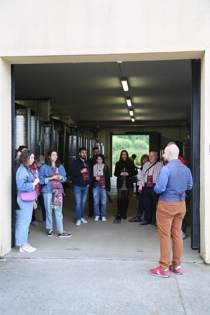 Bonzara Estate - Tour and wine tasting in the Colli Bolognesi - Who Would Love This Experience?