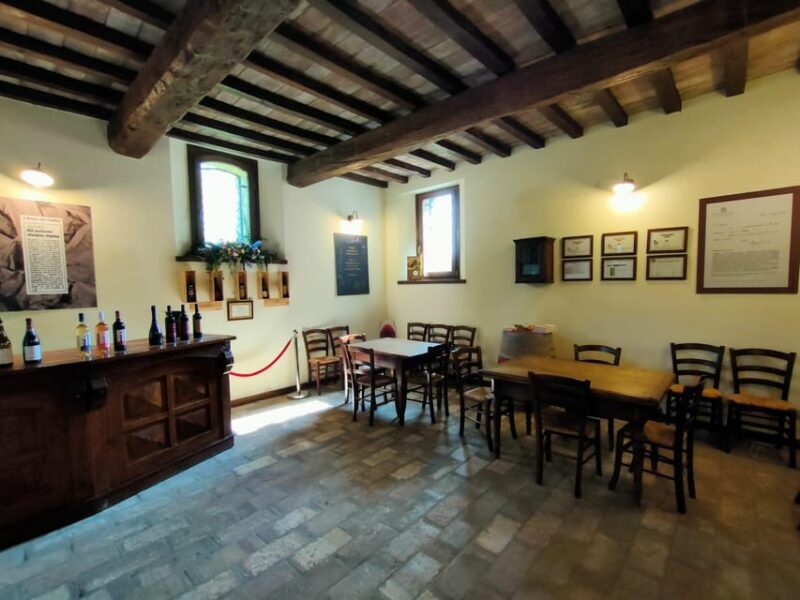 Bonzara Estate - Tour and wine tasting in the Colli Bolognesi - The Sum Up