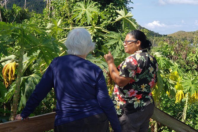 Book Your Private Two and a Half Hour Island Tour today! - An In-Depth Look at the Tour Experience