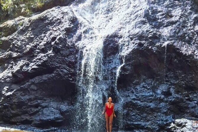Booloumba Falls & Booloumba Creek Adventure, Conondale Nat. Park - Why This Tour Is a Great Choice