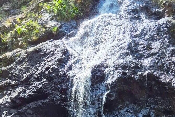 Booloumba Falls & Booloumba Creek Adventure, Conondale Nat. Park - FAQ