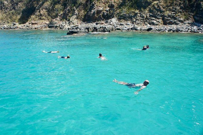 Boomerang's Best of St. Martin/Maarten: Swim with Turtles - Who Should Consider This Tour?