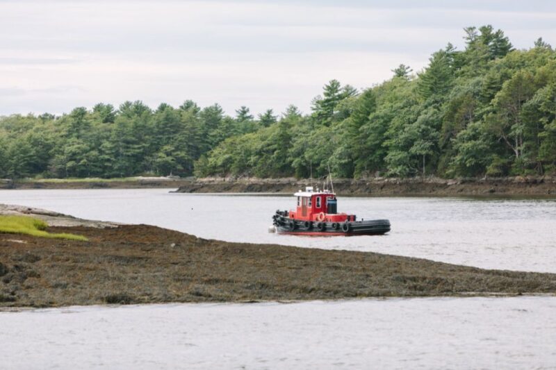 Boothbay Harbor: Spectacular Kennebec River Cruise - Authentic Experiences and Honest Feedback