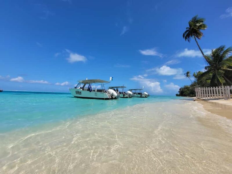 Bora Bora: 1 afternoon dive for certified divers - An Overview of the Experience