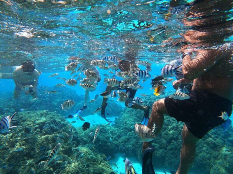 Bora Bora: 3/4 Day Private Lagoon Tour with Lunch&Snorkeling - Who Is This Tour Best For?