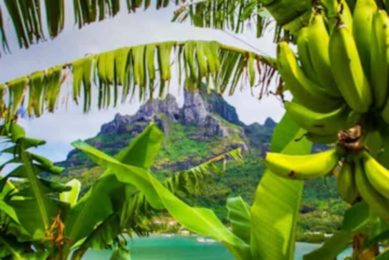 Bora Bora: 4WD History & Culture Tour - An Authentic 4x4 Experience on Bora Bora