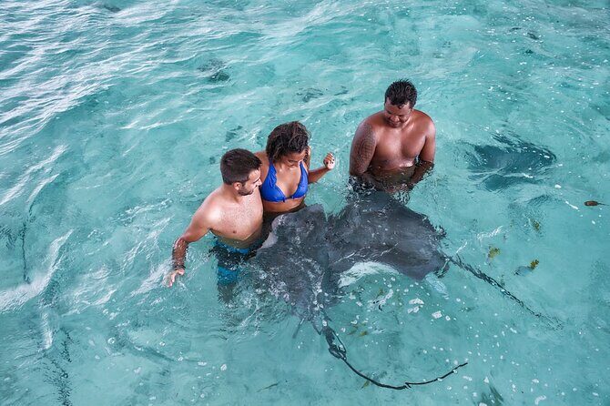 Bora Bora adventure Private Combo Jet Ski and Eco Sharks Snorkel - Price and Value